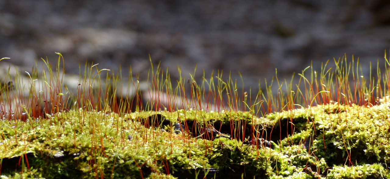 Photography Simon Besson-Girard